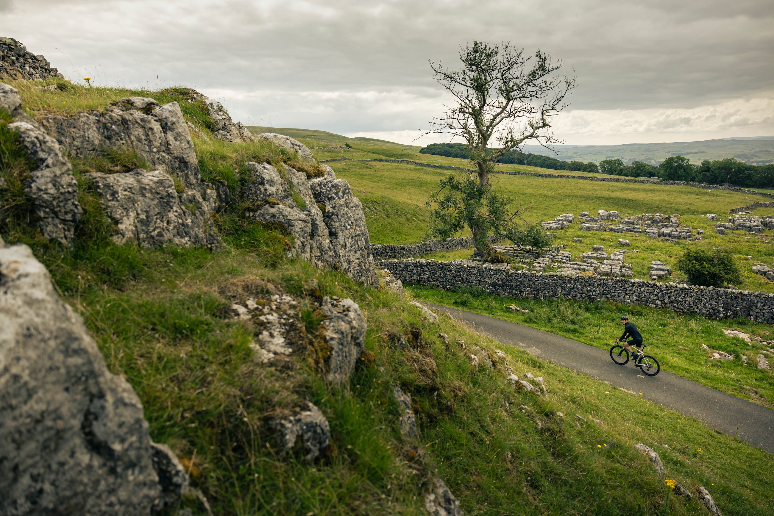 Ruckus: Your Premier Destination for Skis, Snowboards, & Bikes – Ruckus ...